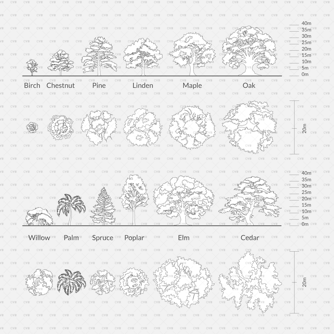 Download 12 Vector Colorful Trees | CADasBuilt – cadasbuilt