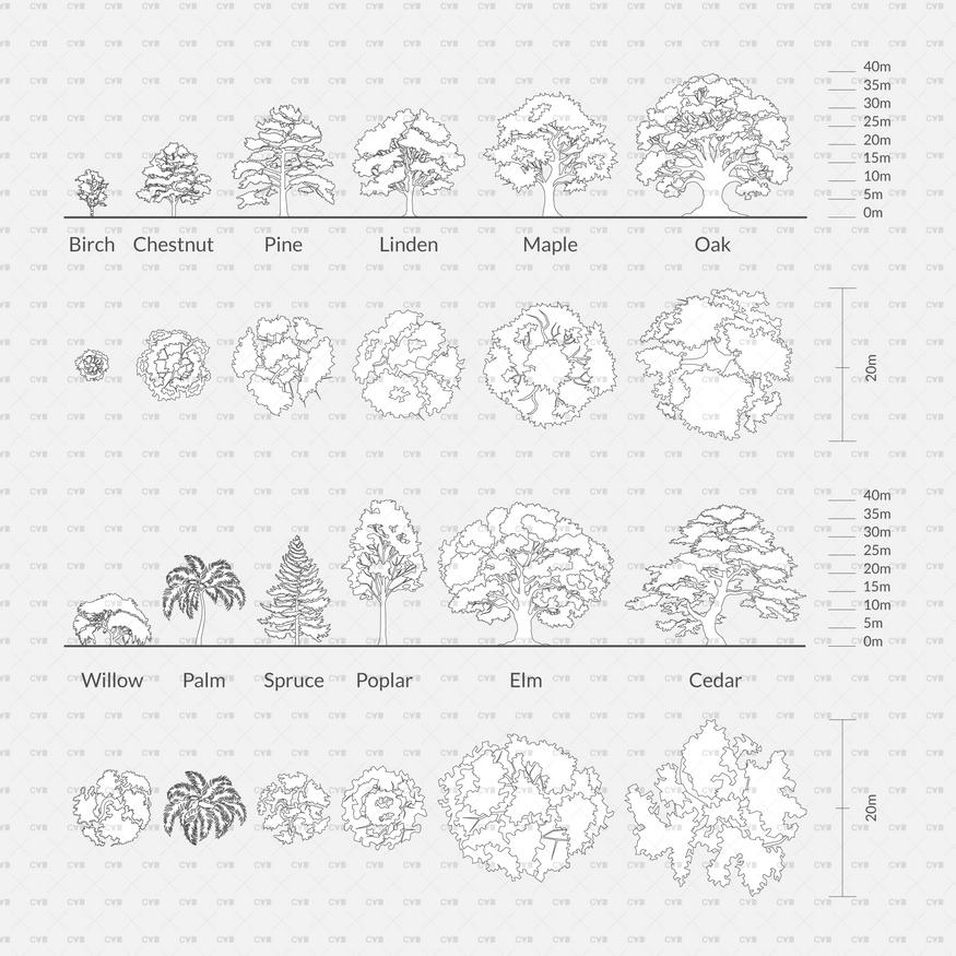 Download Vector and CAD Plants | CADasBuilt – cadasbuilt