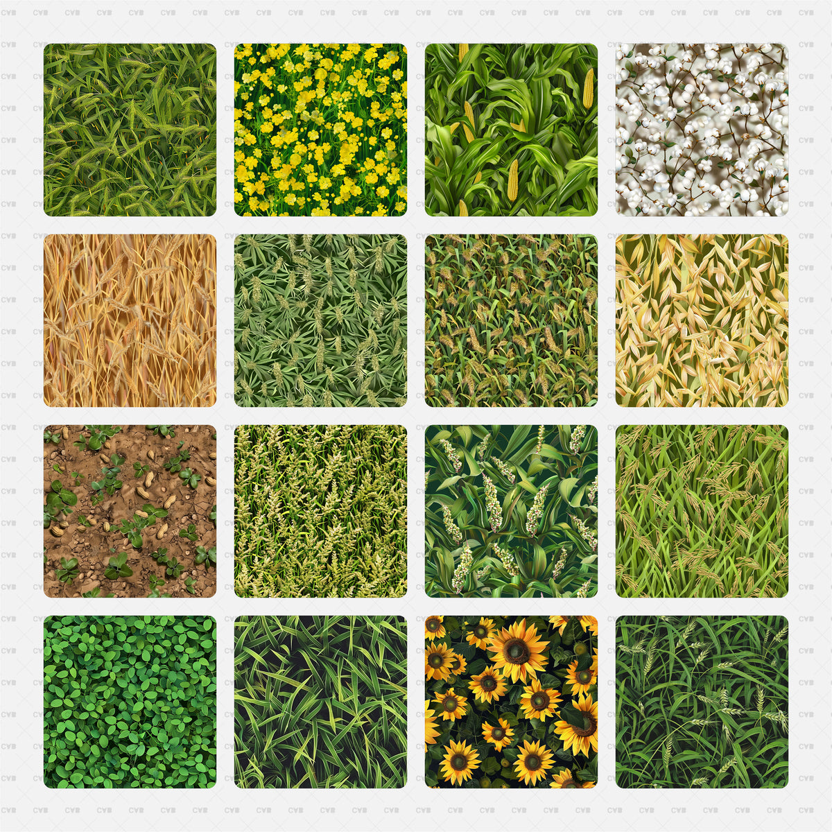 Seamless Pattern Library of Field Crops Textures | CADasBuilt – cadasbuilt