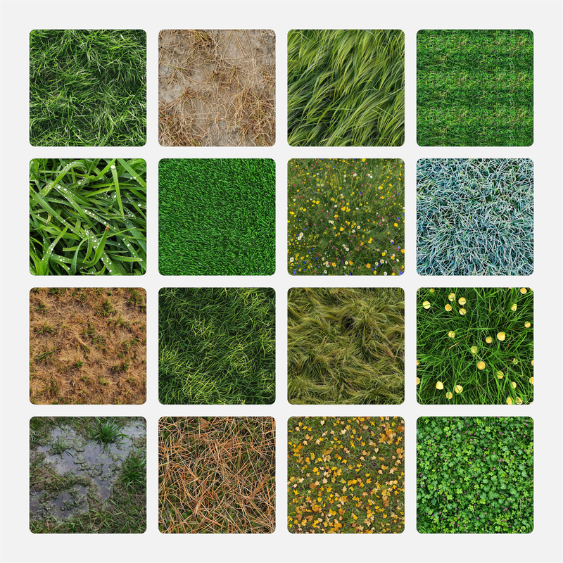Seamless Pattern Library of Grass Textures | CADasBuilt – cadasbuilt