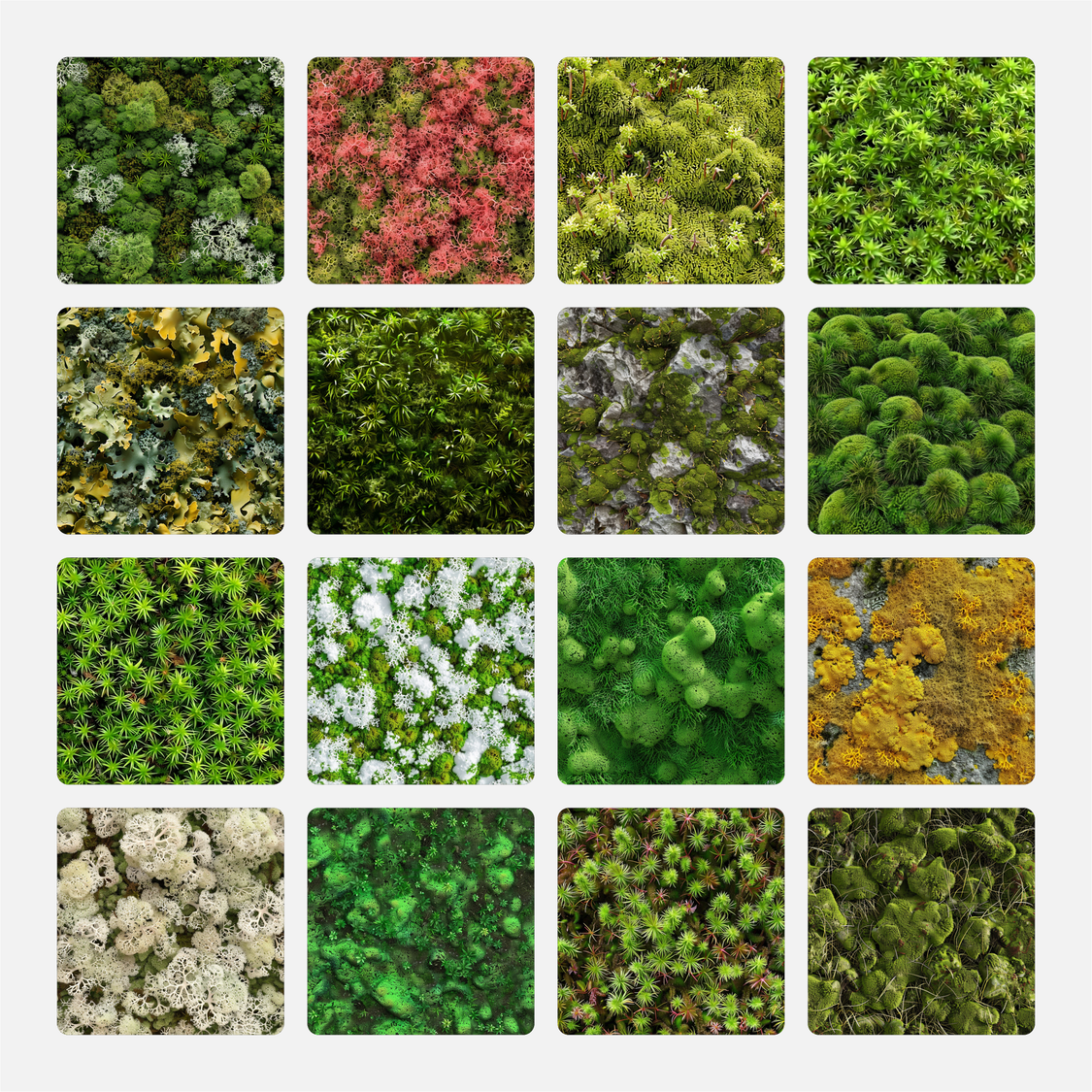Seamless Pattern Library of Moss Textures | CADasBuilt – cadasbuilt