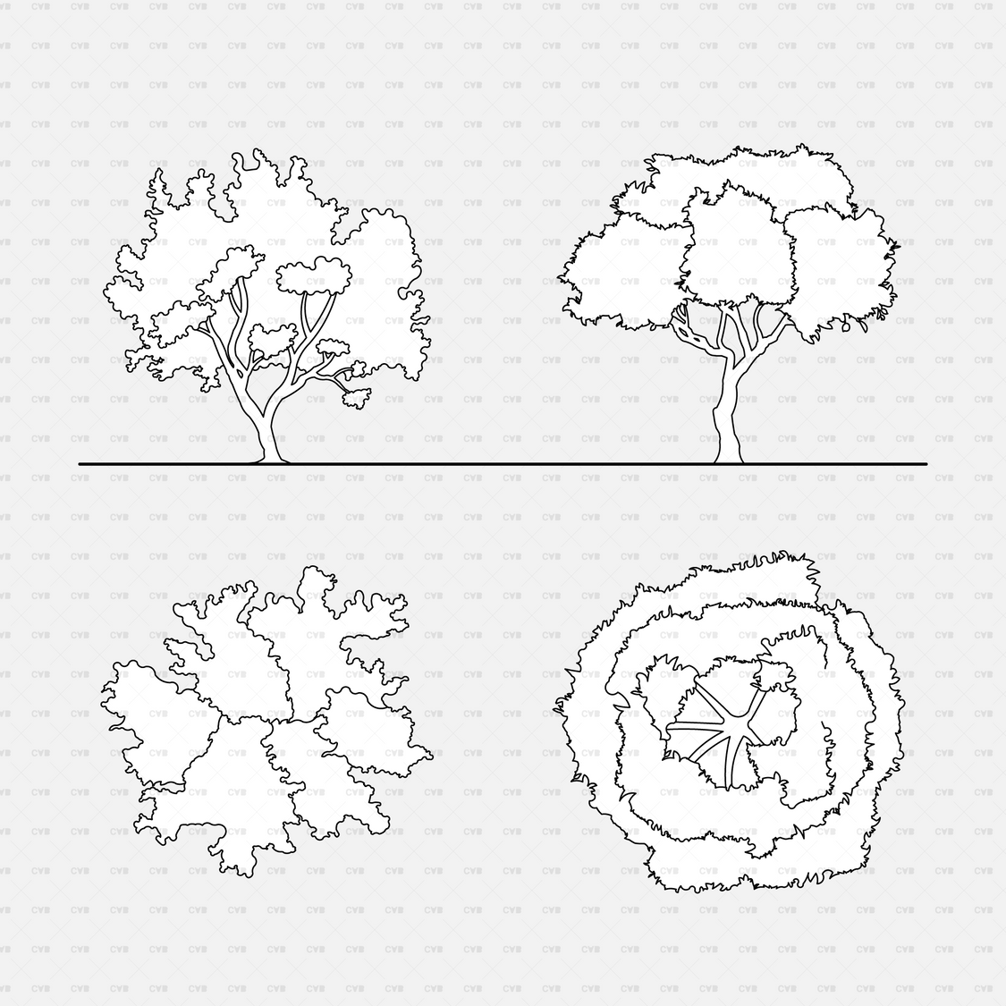 Download DYNAMIC CAD Trees BLOCKS | CADasBuilt – cadasbuilt