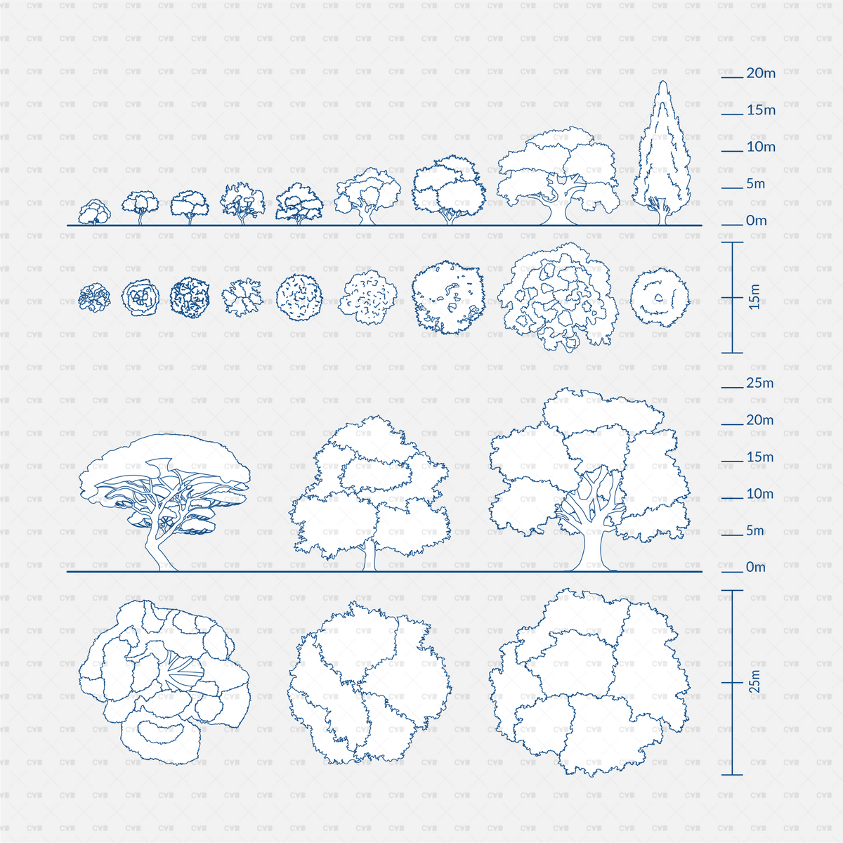 Download DYNAMIC CAD Trees BLOCKS | CADasBuilt – cadasbuilt