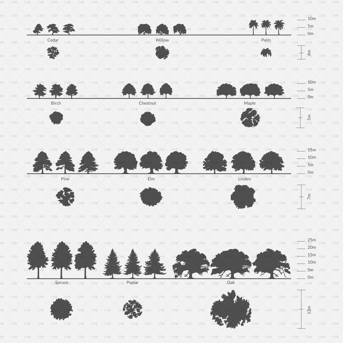 Download DYNAMIC CAD Trees BLOCKS Silhouettes | CADasBuilt – cadasbuilt