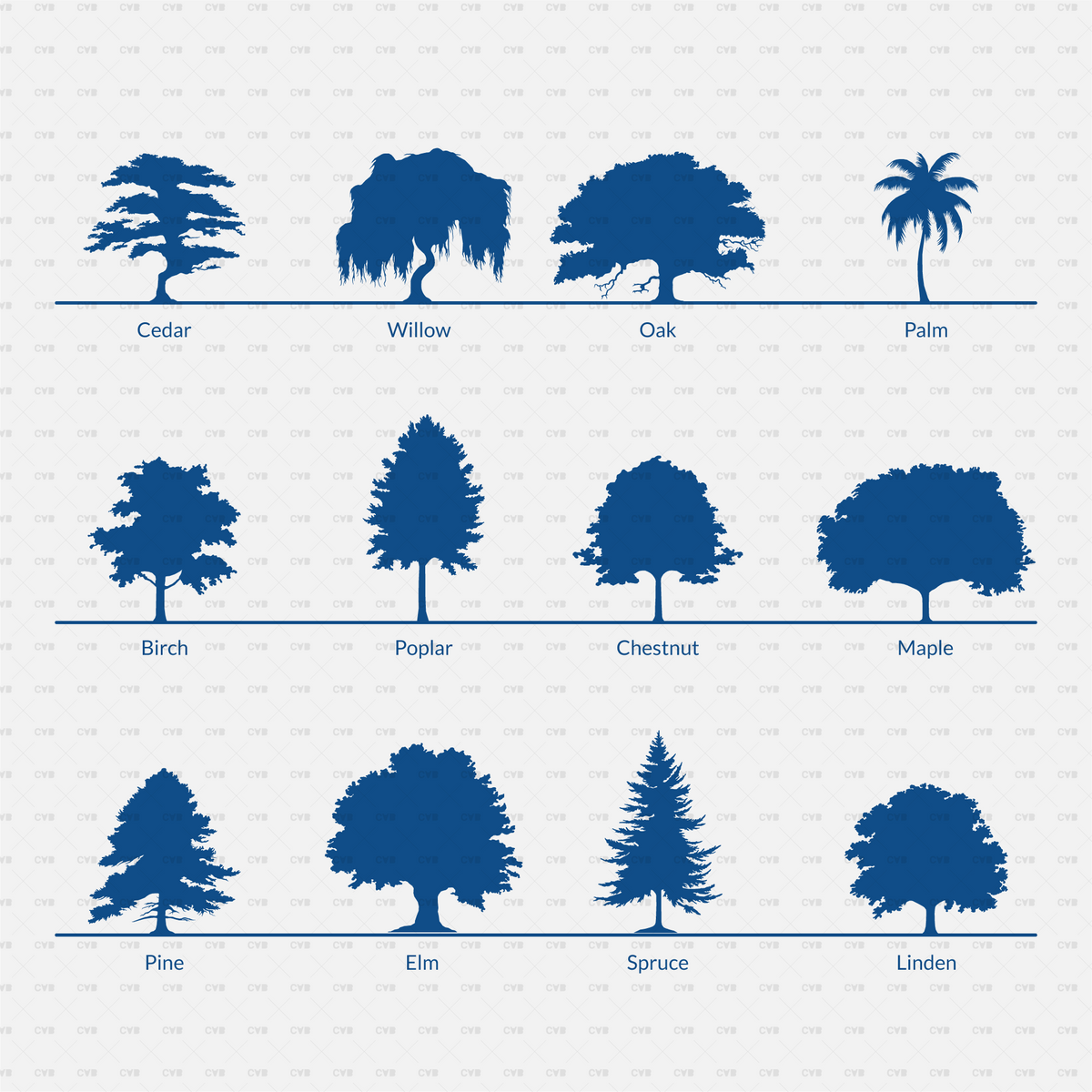 Download DYNAMIC CAD Trees BLOCKS Silhouettes | CADasBuilt – cadasbuilt
