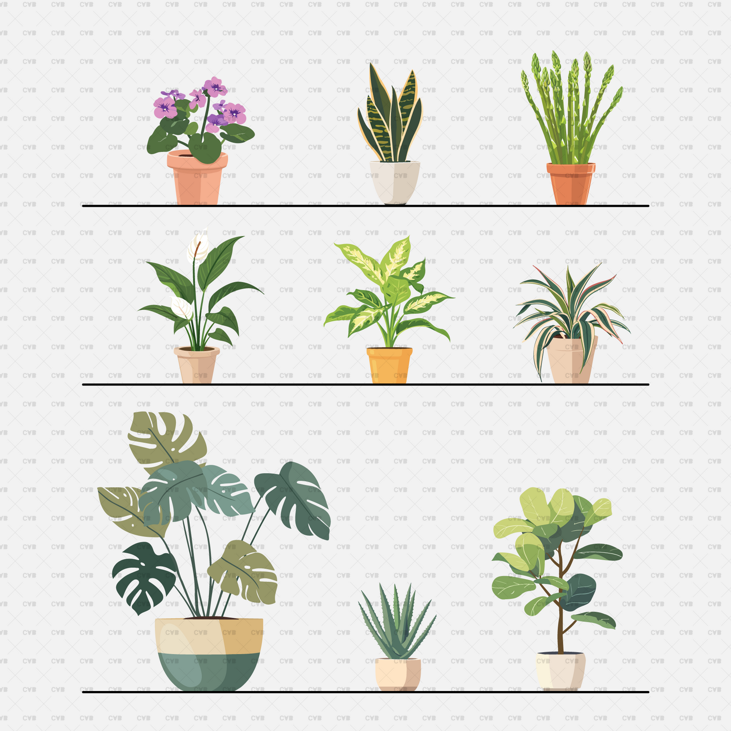Vector – cadasbuilt