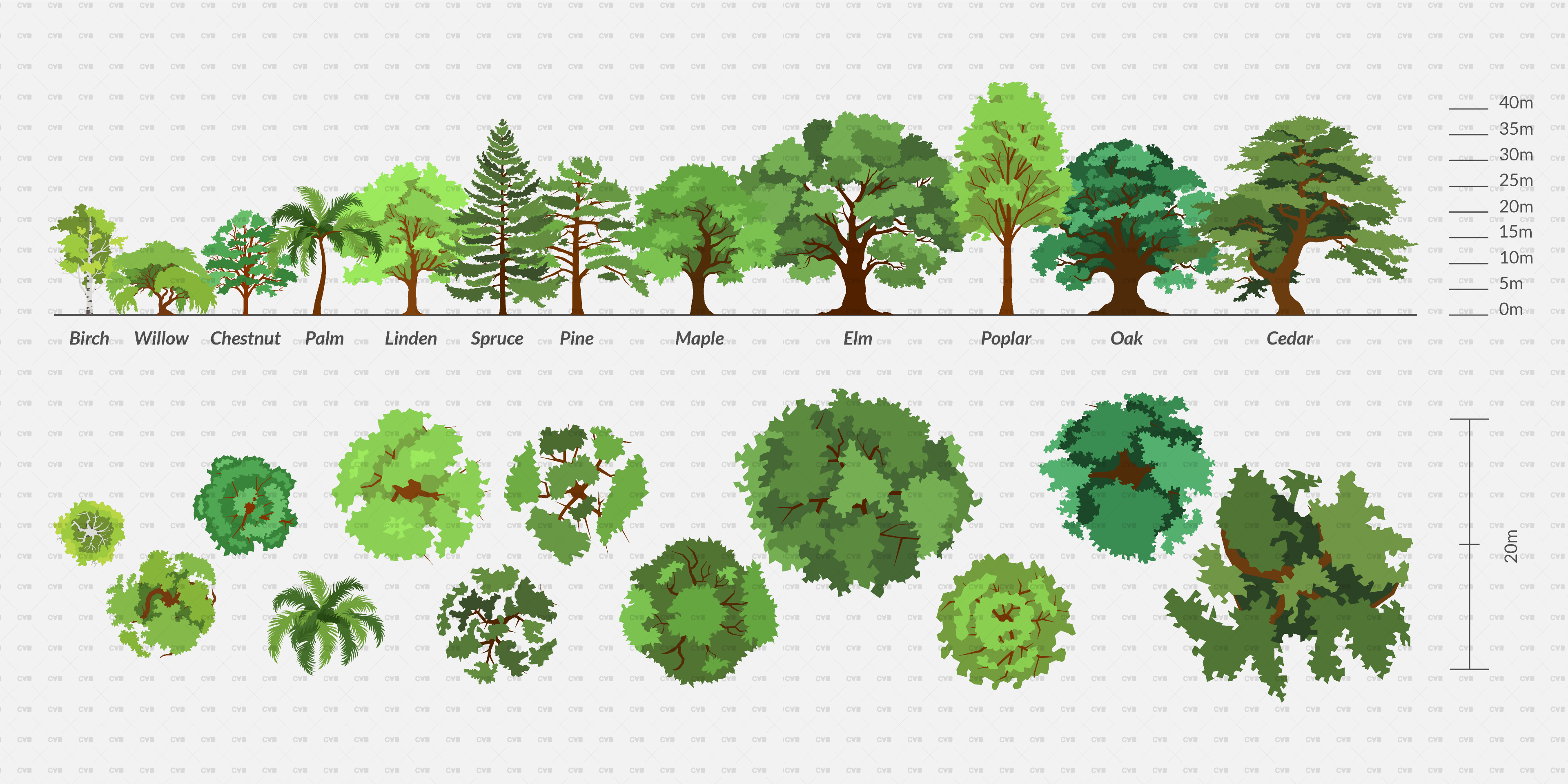 Download 12 Vector Colorful Trees | CADasBuilt – cadasbuilt
