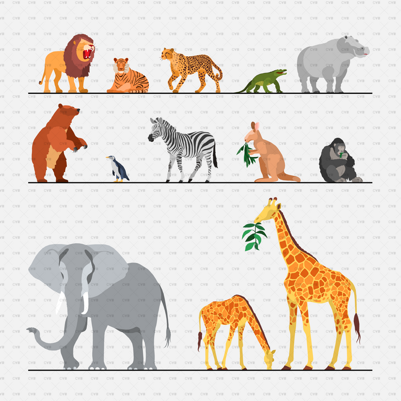 Download 13 Zoo Animals | DYNAMIC CAD BLOCKS | CADasBuilt – cadasbuilt