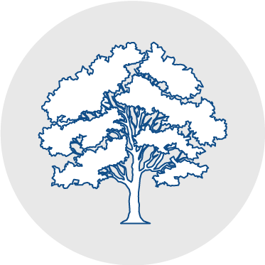 CAB | CADasbuilt – cadasbuilt