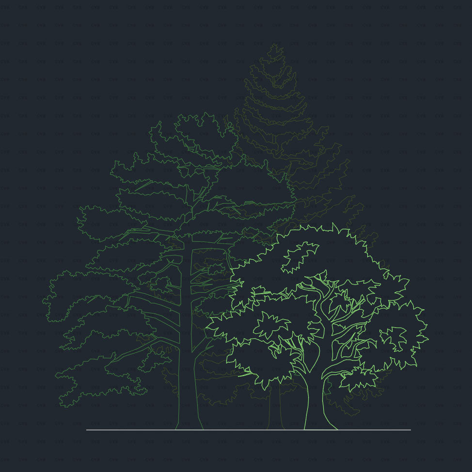 Download DYNAMIC CAD Trees BLOCKS | CADasBuilt – cadasbuilt